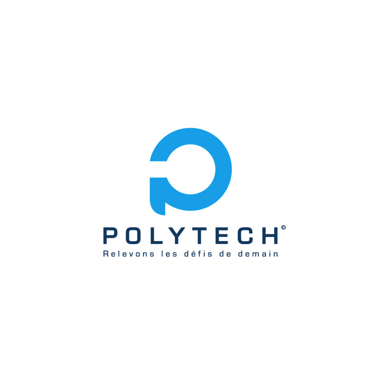 Simulations d'entretiens Polytech Paris-Saclay samedi 9 janvier 2021 ...